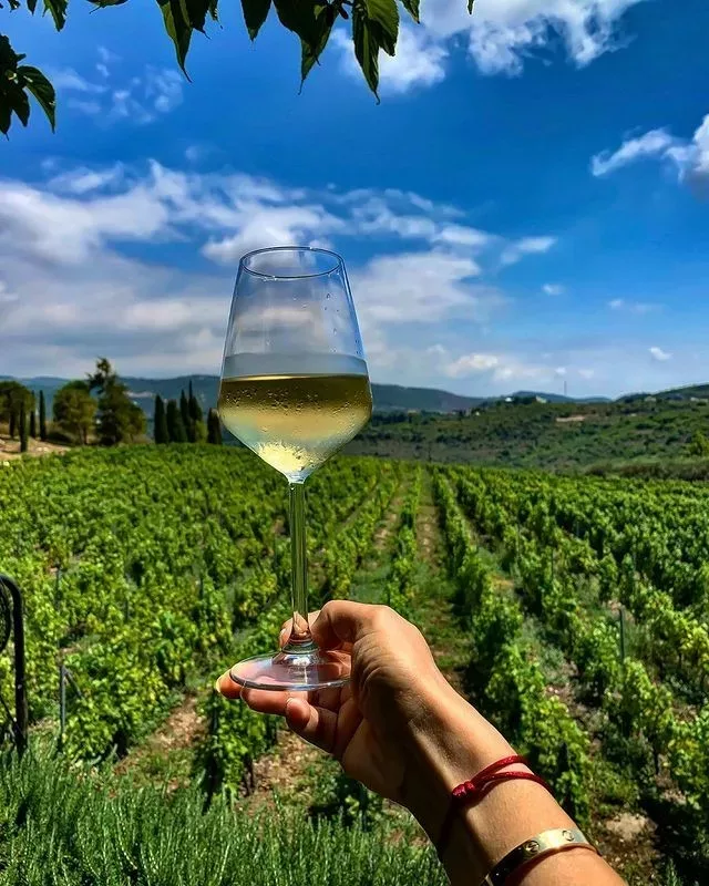 8 Best Wineries to Visit in Lebanon in 2023